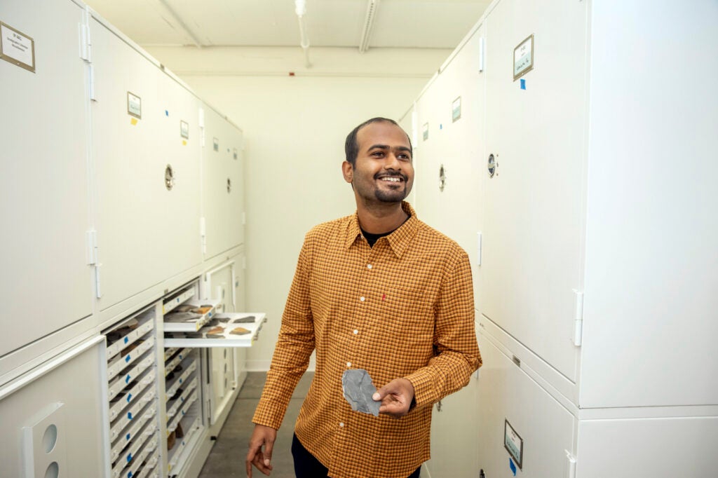 Early warning sign of extinction? — Harvard Gazette