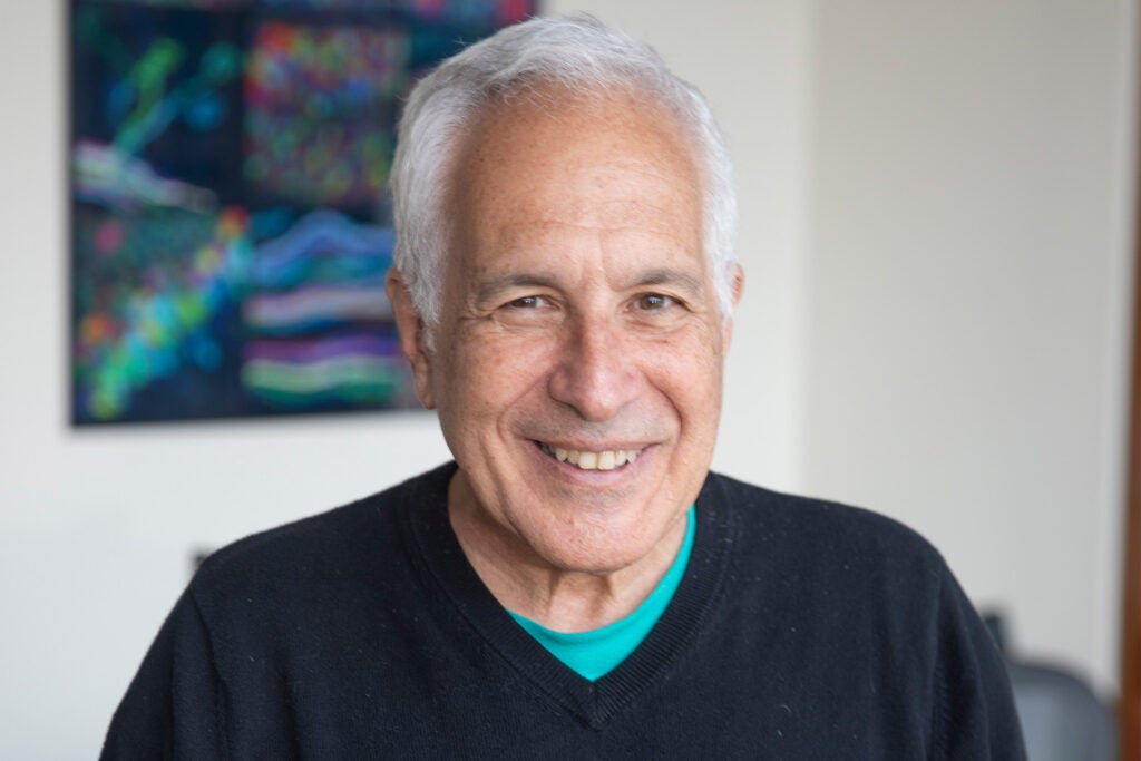 Researchers publish largest-ever dataset of neural connections ...