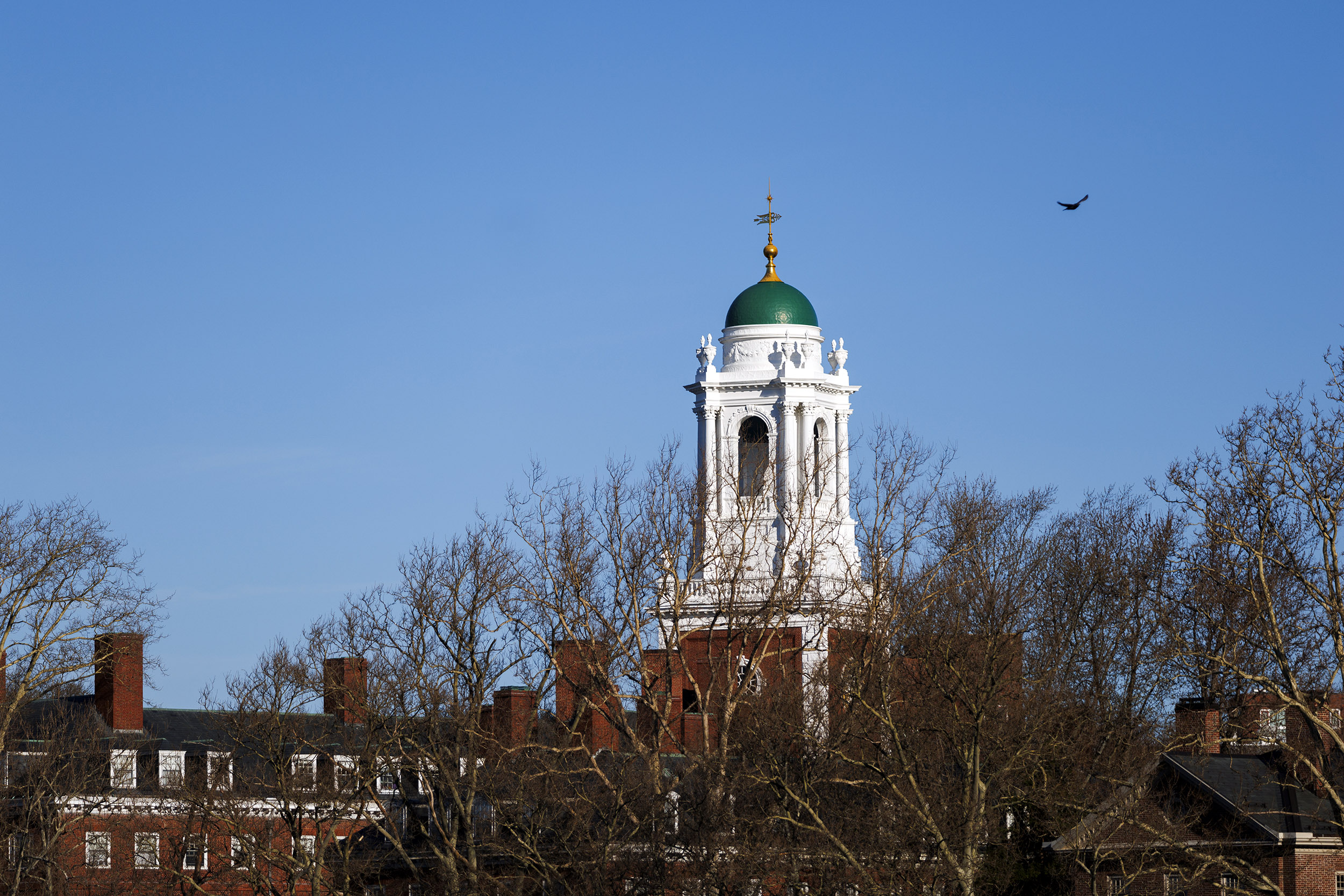 Next Harvard undergrad residence up for renovation: Eliot House ...