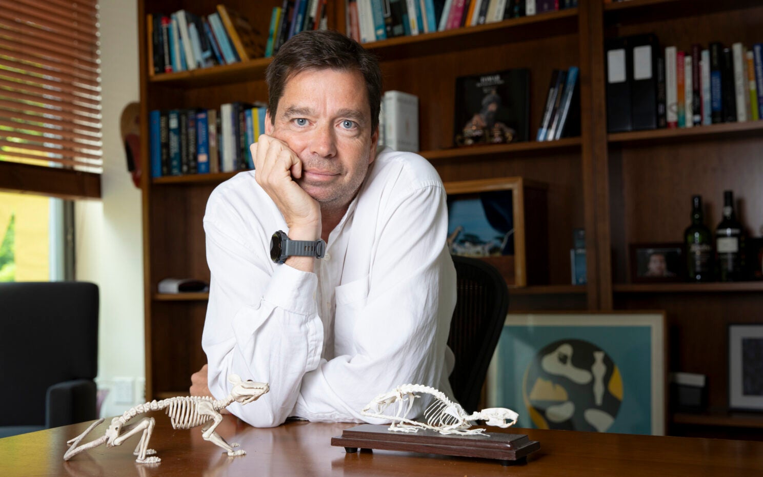 Science & Tech Archives — Harvard Gazette