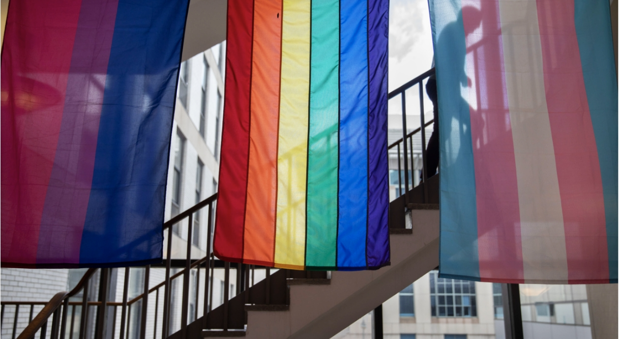 News+ Archive — Harvard Gazette