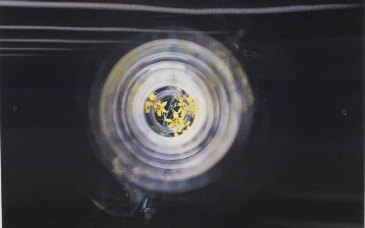 Jack Strominger to retire after a lifetime of achievement — Harvard Gazette