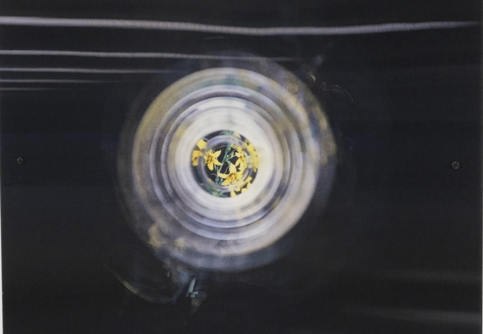 The Fogg begins to rise — Harvard Gazette