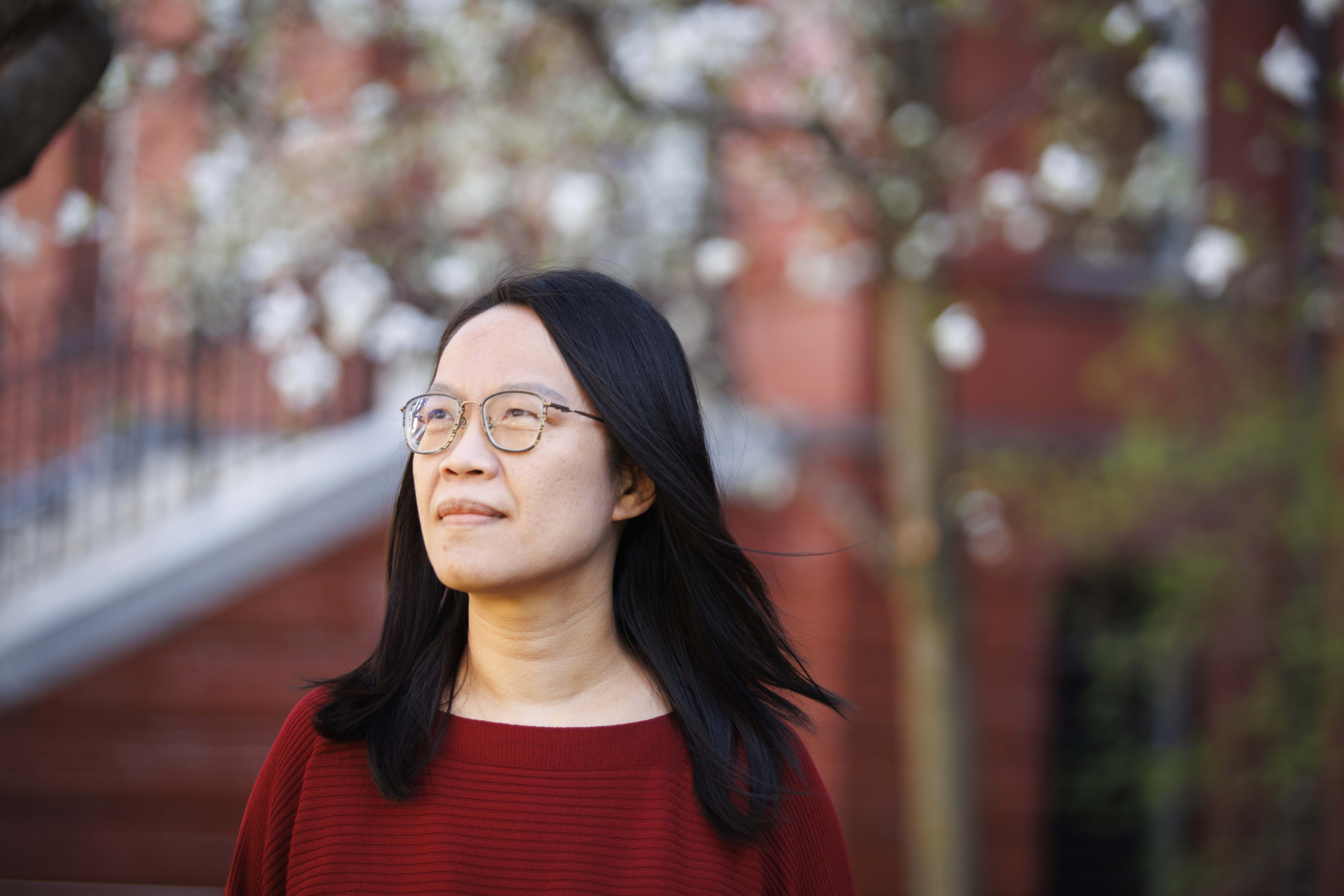 Harvard professors share their favorite books to reread — Harvard Gazette