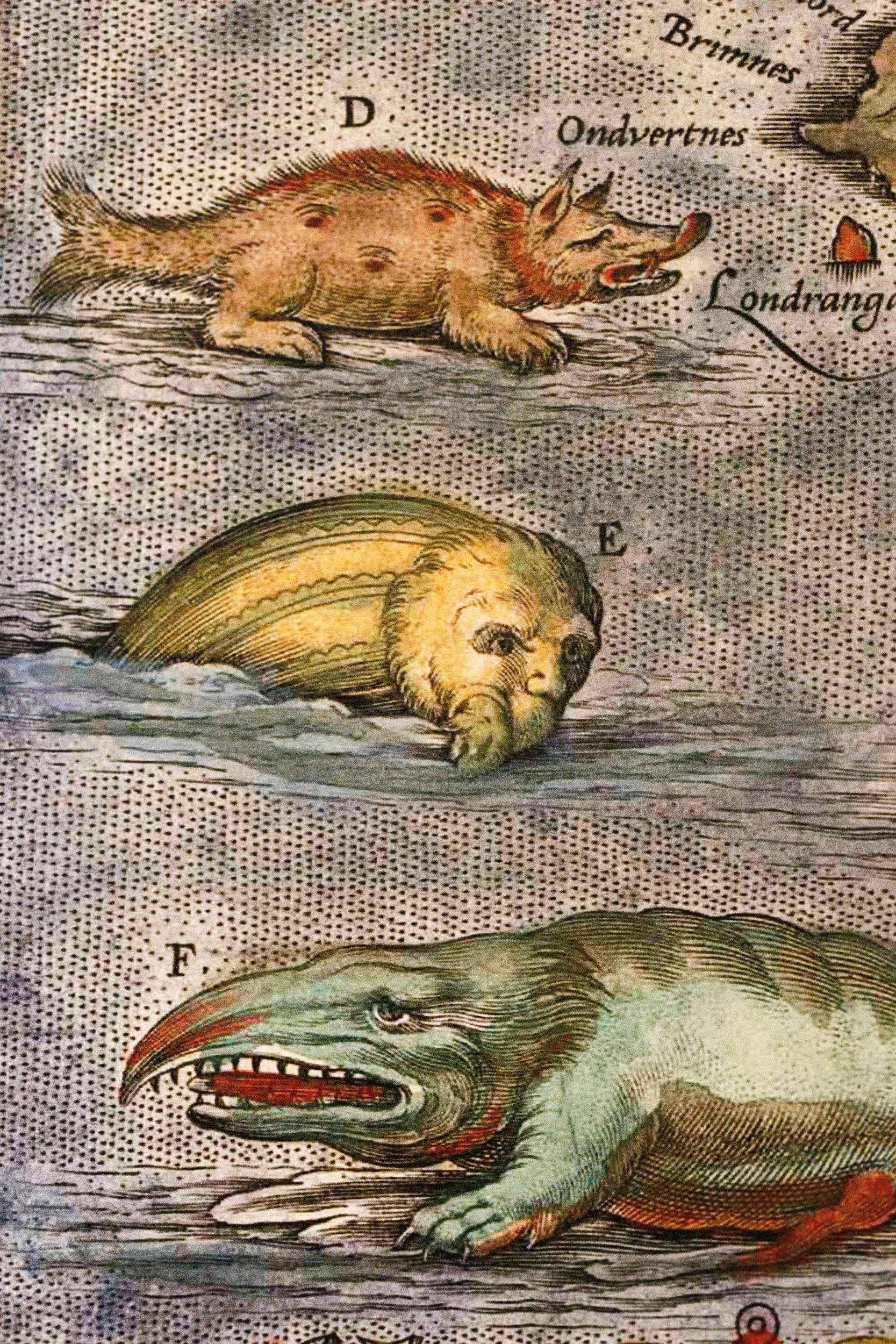 Diving into the myths and legends behind sea monsters — Harvard Gazette