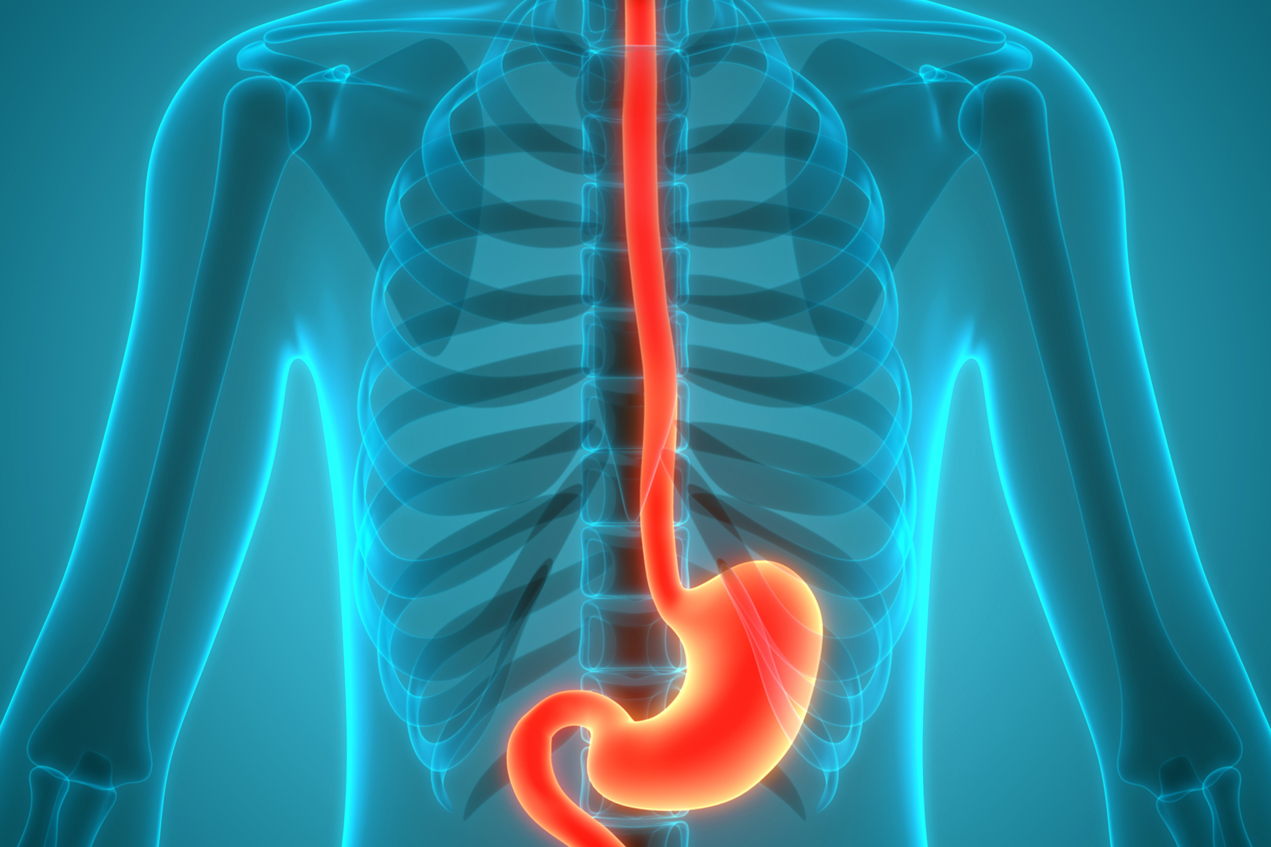 Parkinson’s may take a ‘gut-first’ path — Harvard Gazette