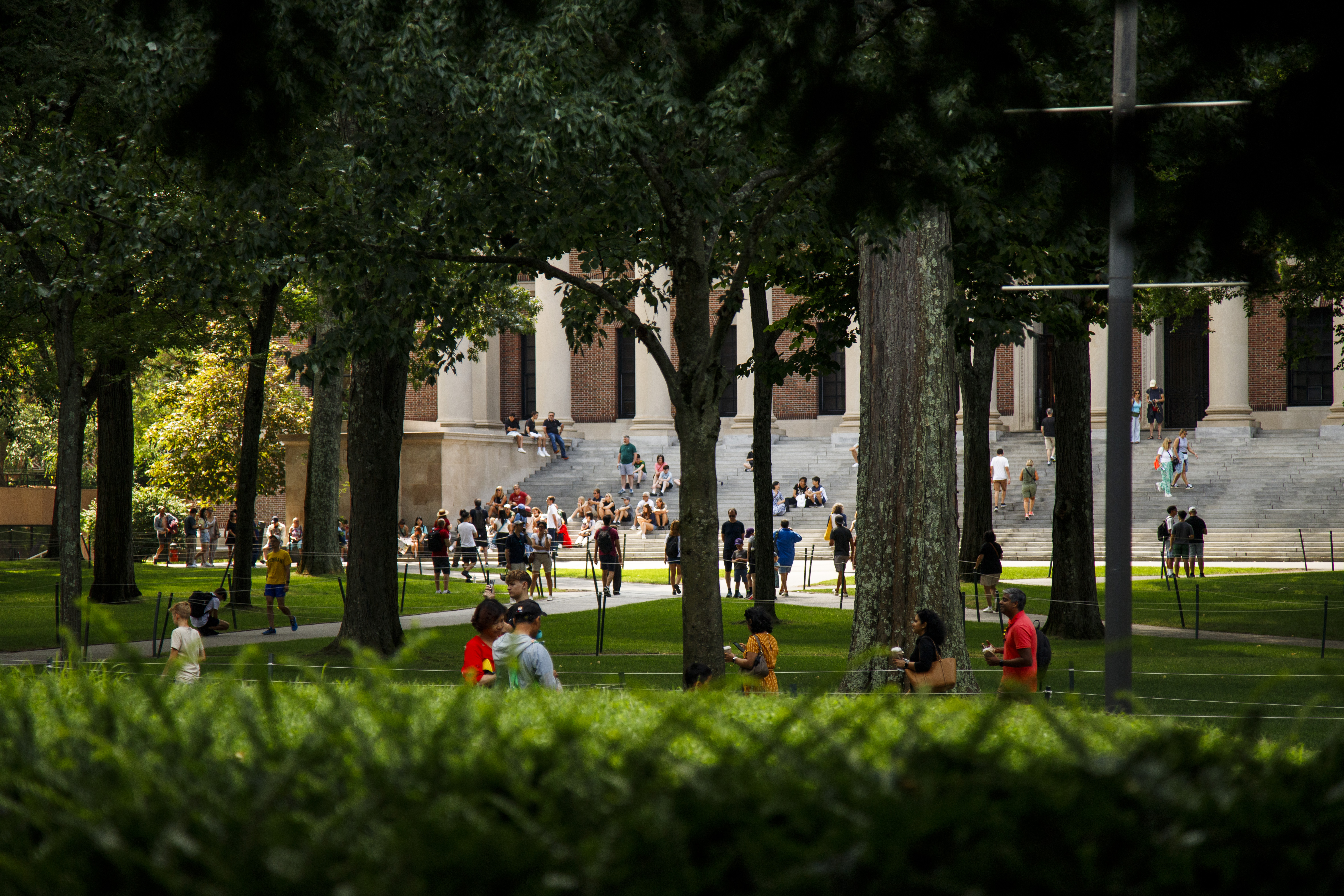 Harvard University president announces President’s Building Bridges ...