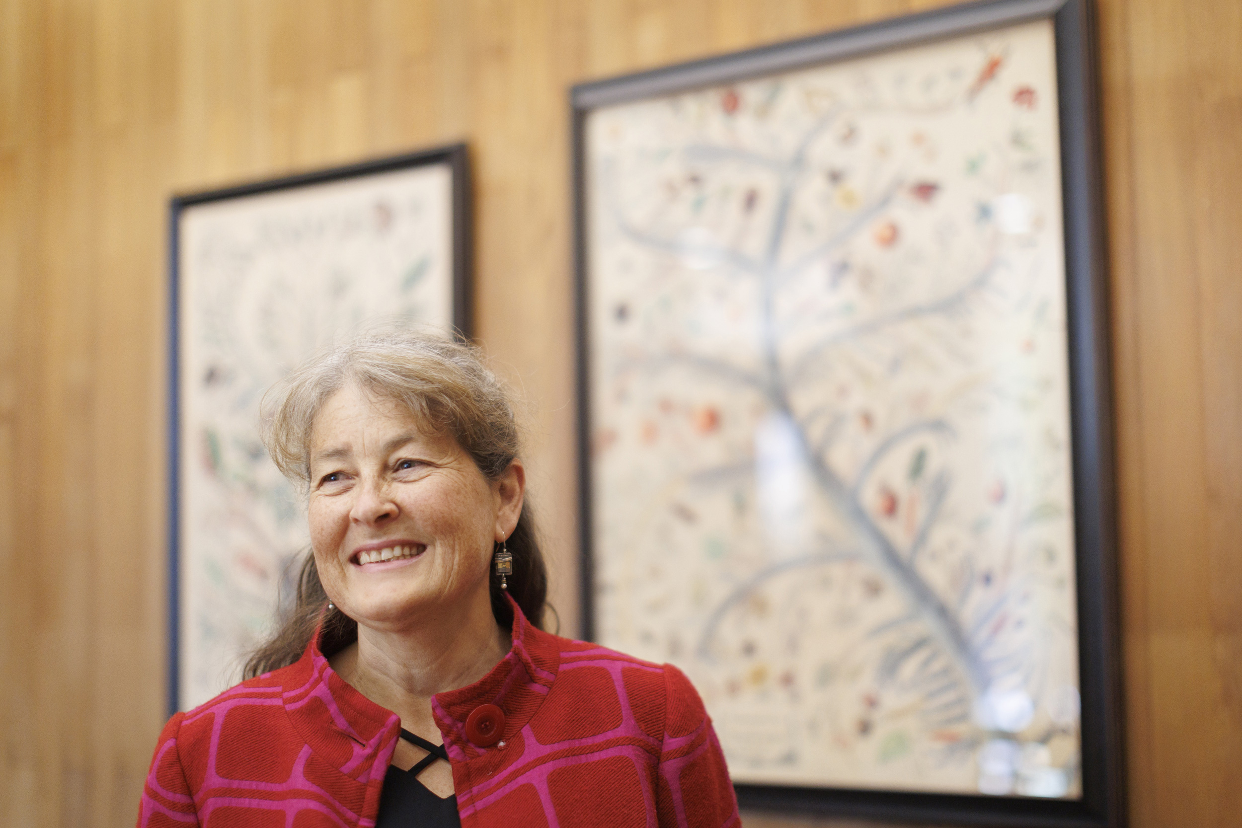 Laurence Tribe speaks on his career in constitutional law — Harvard Gazette