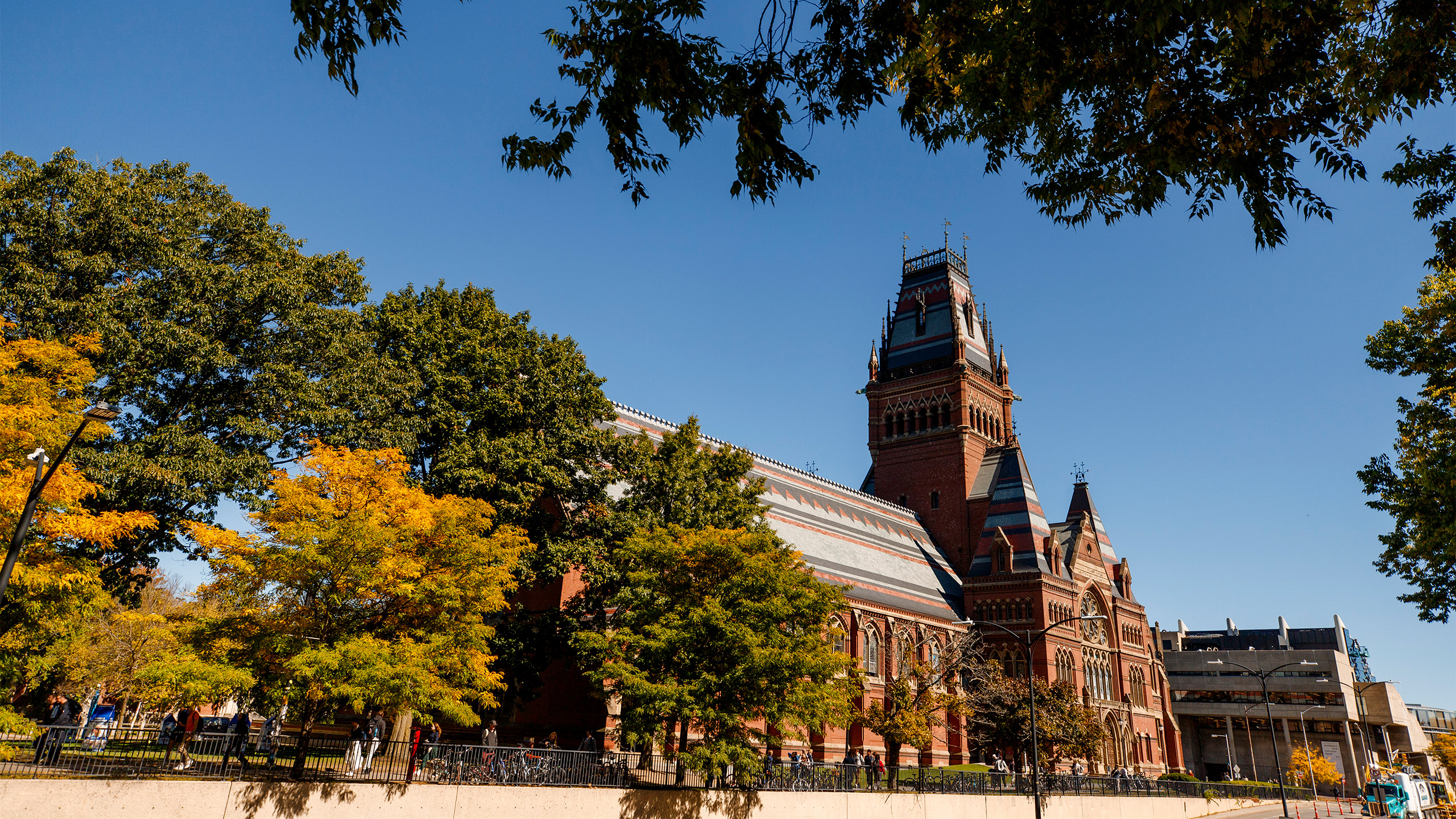 Freshmen take Winter Fest break — Harvard Gazette