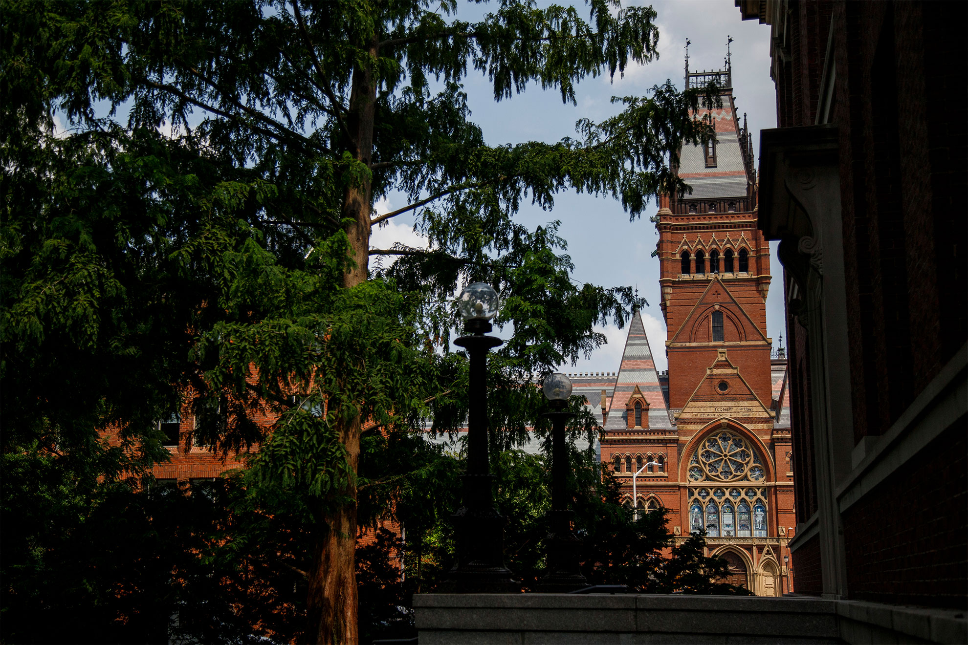 Academic turns city into a social experiment — Harvard Gazette