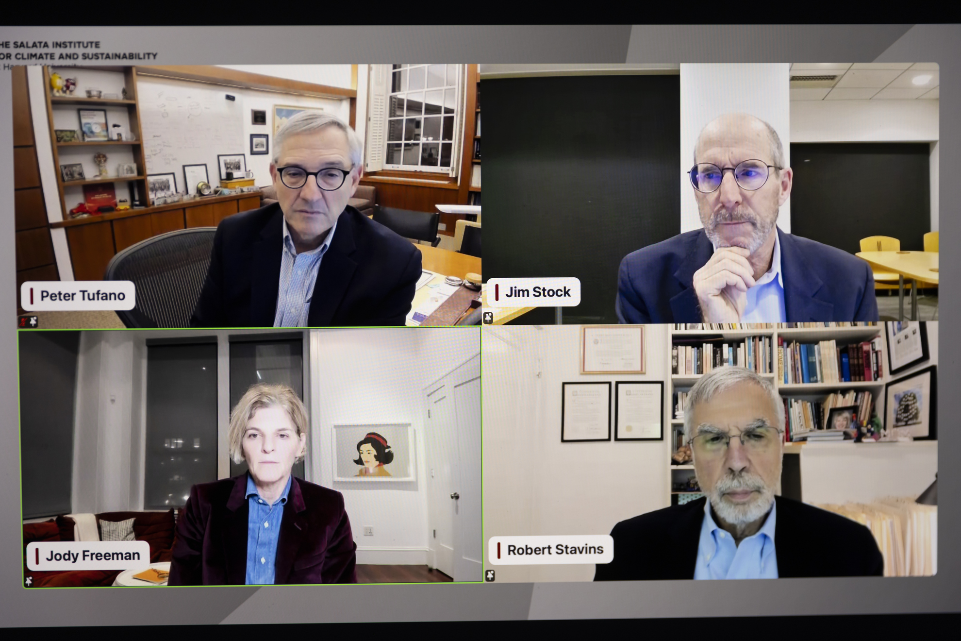 As strong as an insect’s shell — Harvard Gazette