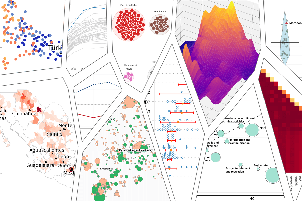 The Growth Lab’s top visual insights of 2024 — Harvard Gazette