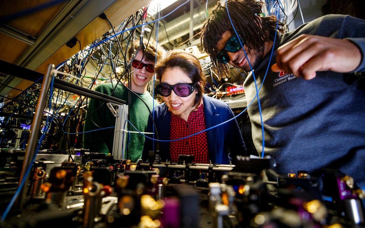 Harvard researchers see alien potential in mysterious object — Harvard ...