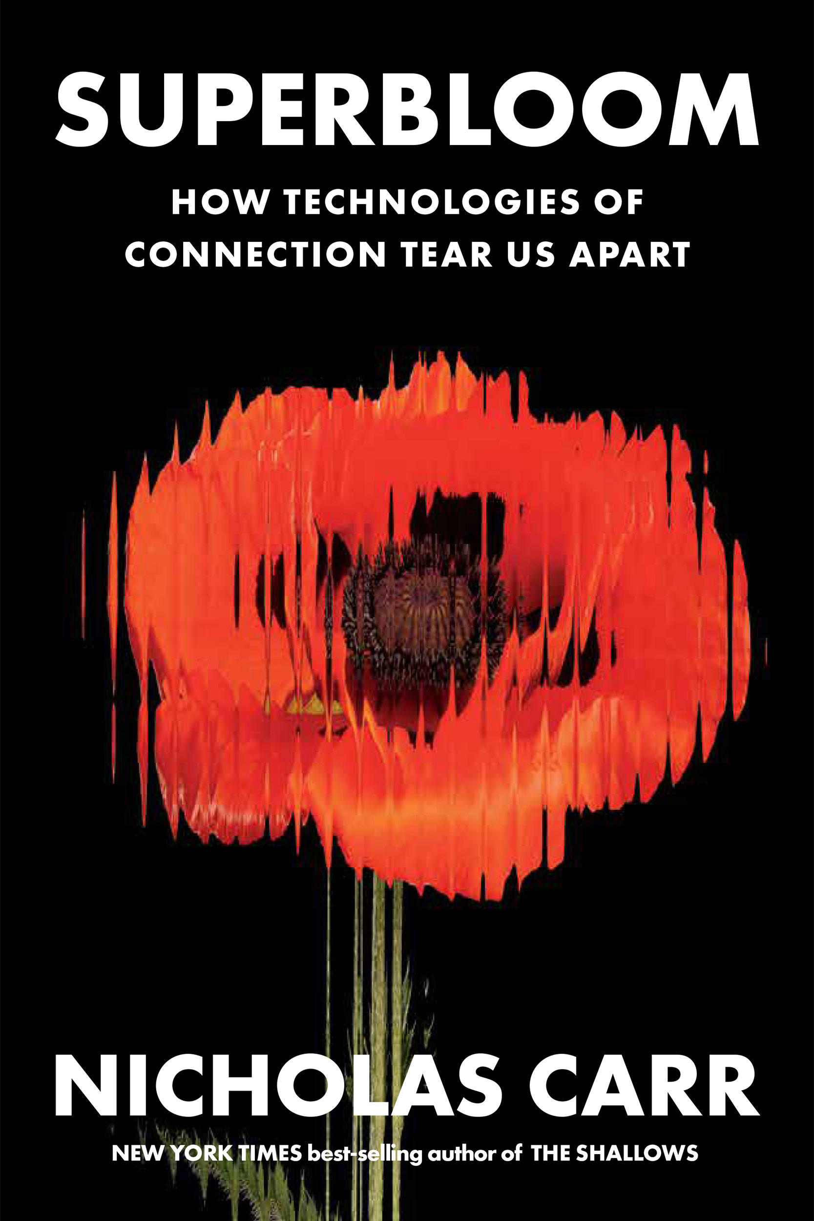 Book excerpt from ‘Superbloom’ by Nicholas Carr — Harvard Gazette