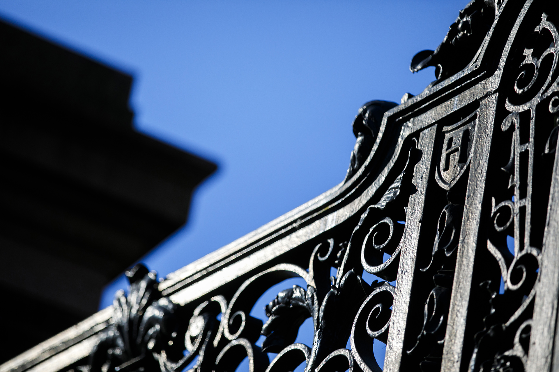 A closer look at new Title IX regulations— Harvard Gazette