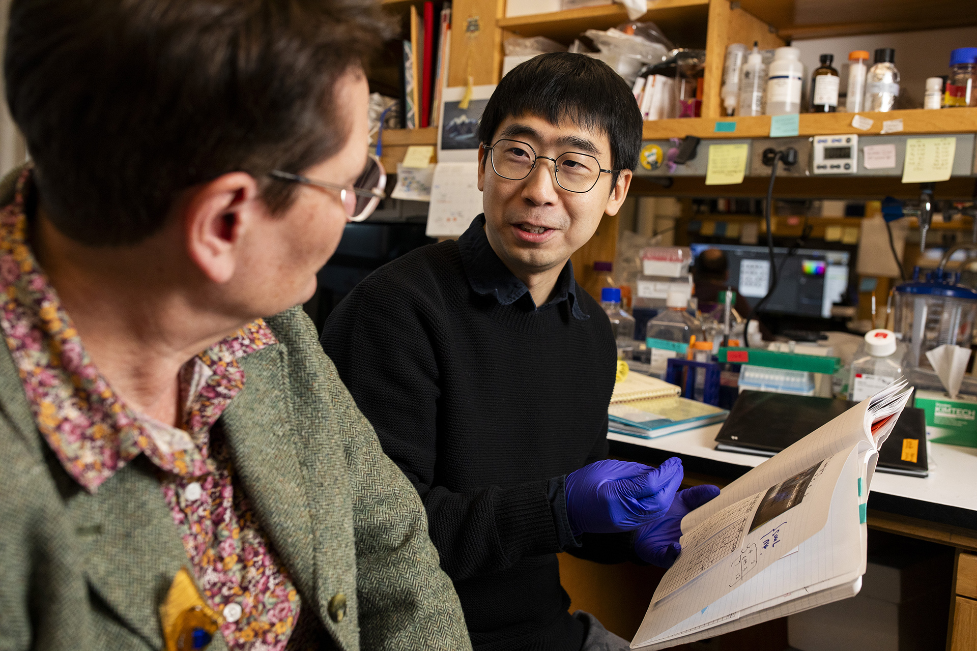 Is social connection a basic need like food, water? — Harvard Gazette