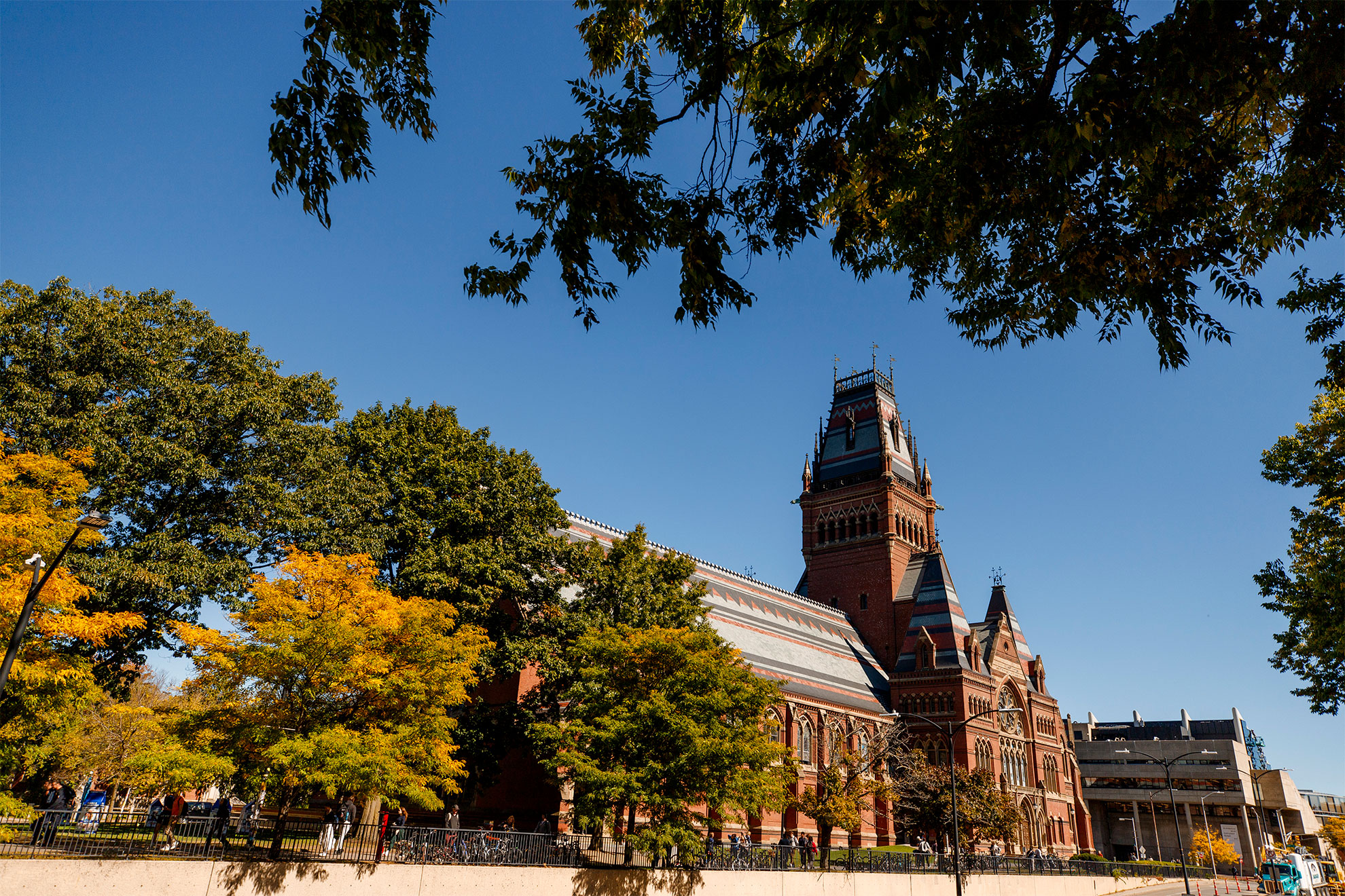 Academic turns city into a social experiment — Harvard Gazette