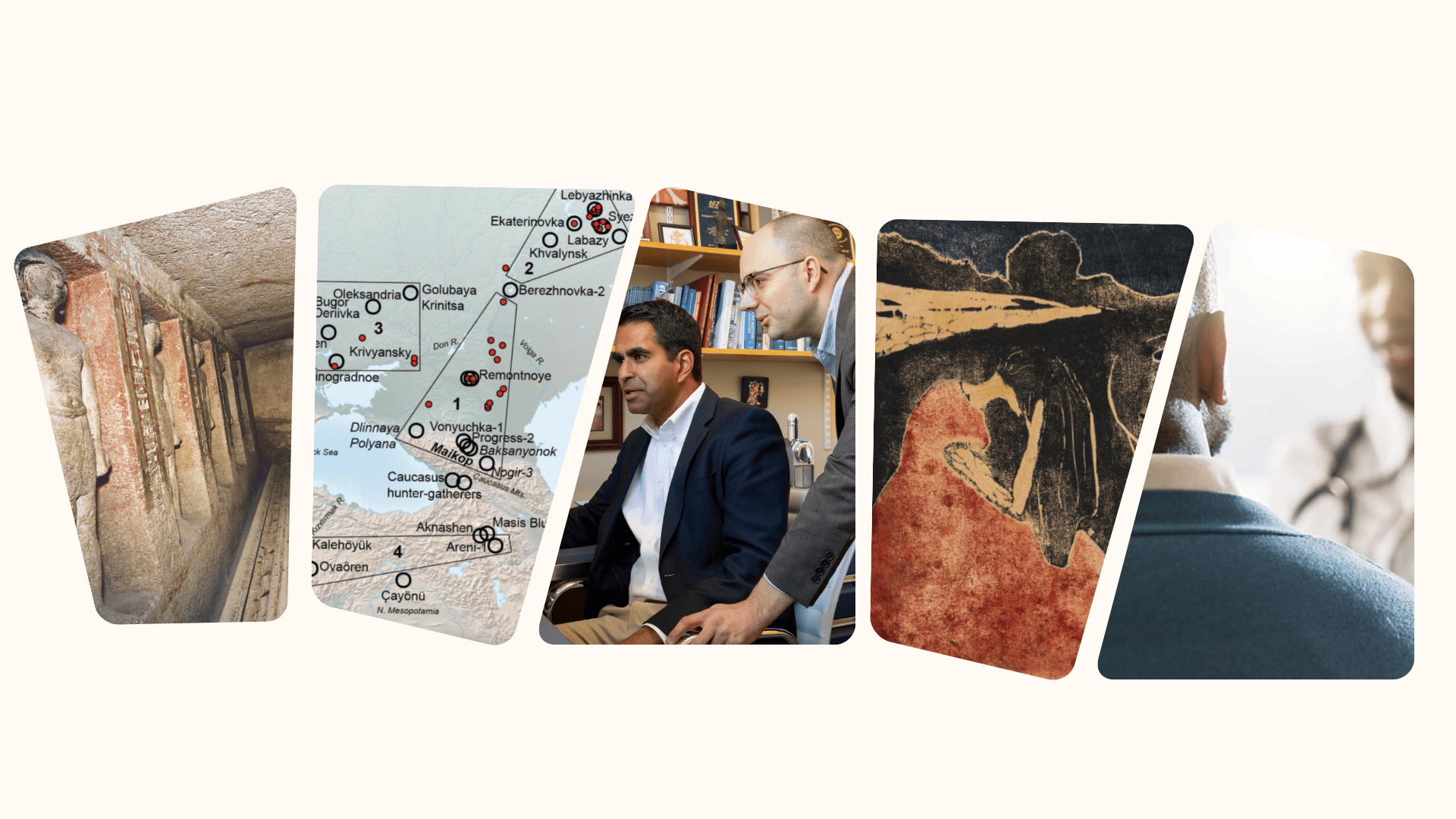 Harvard Weekly News Quiz February 7, 2025 — Harvard Gazette