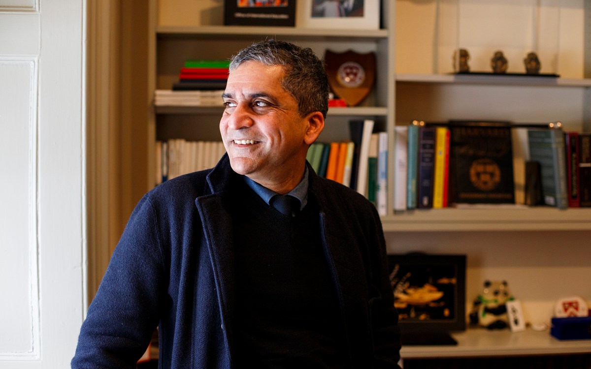 4 things we learned this week — Harvard Gazette