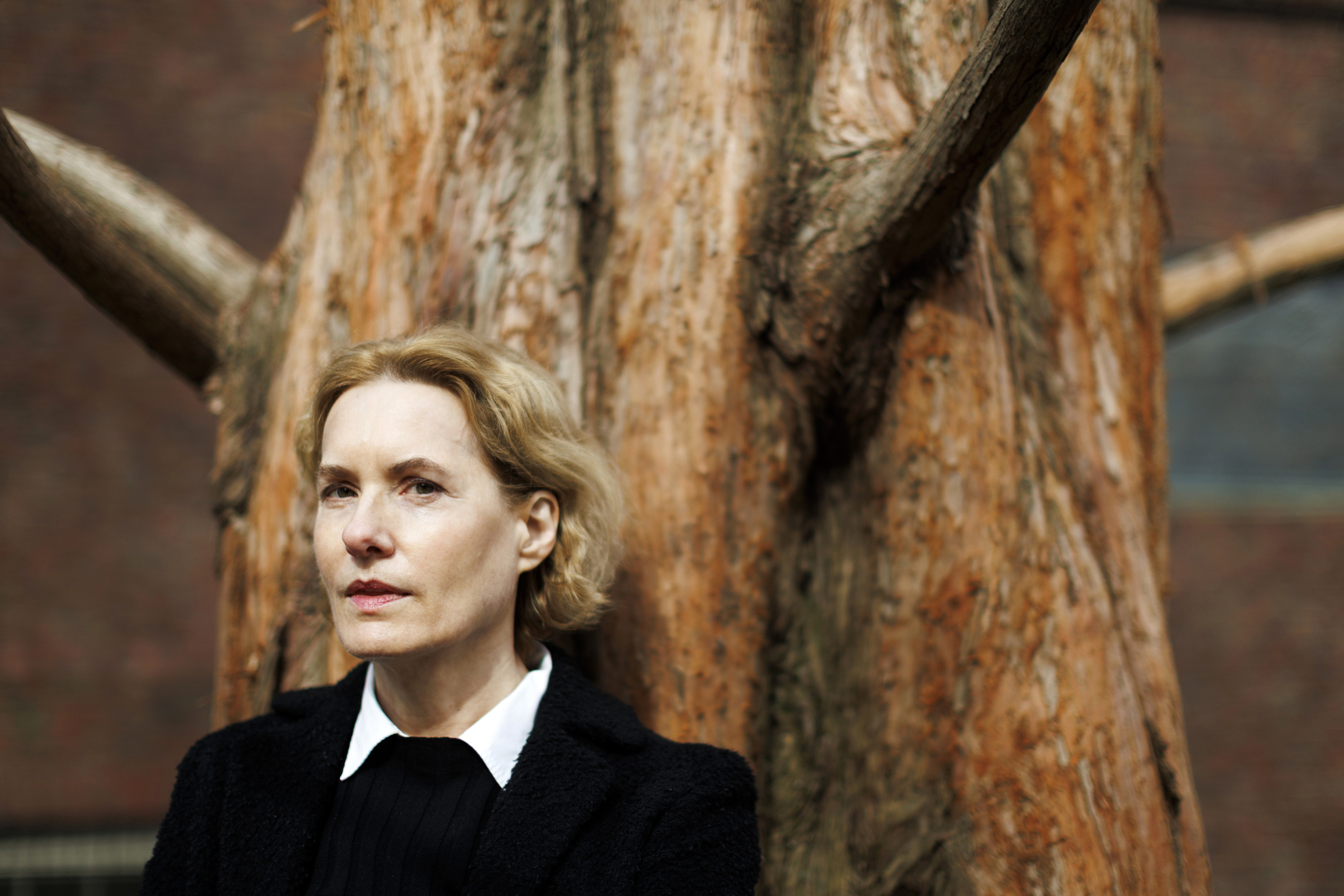 When a stove’s virtues amount to more than just hot air — Harvard Gazette