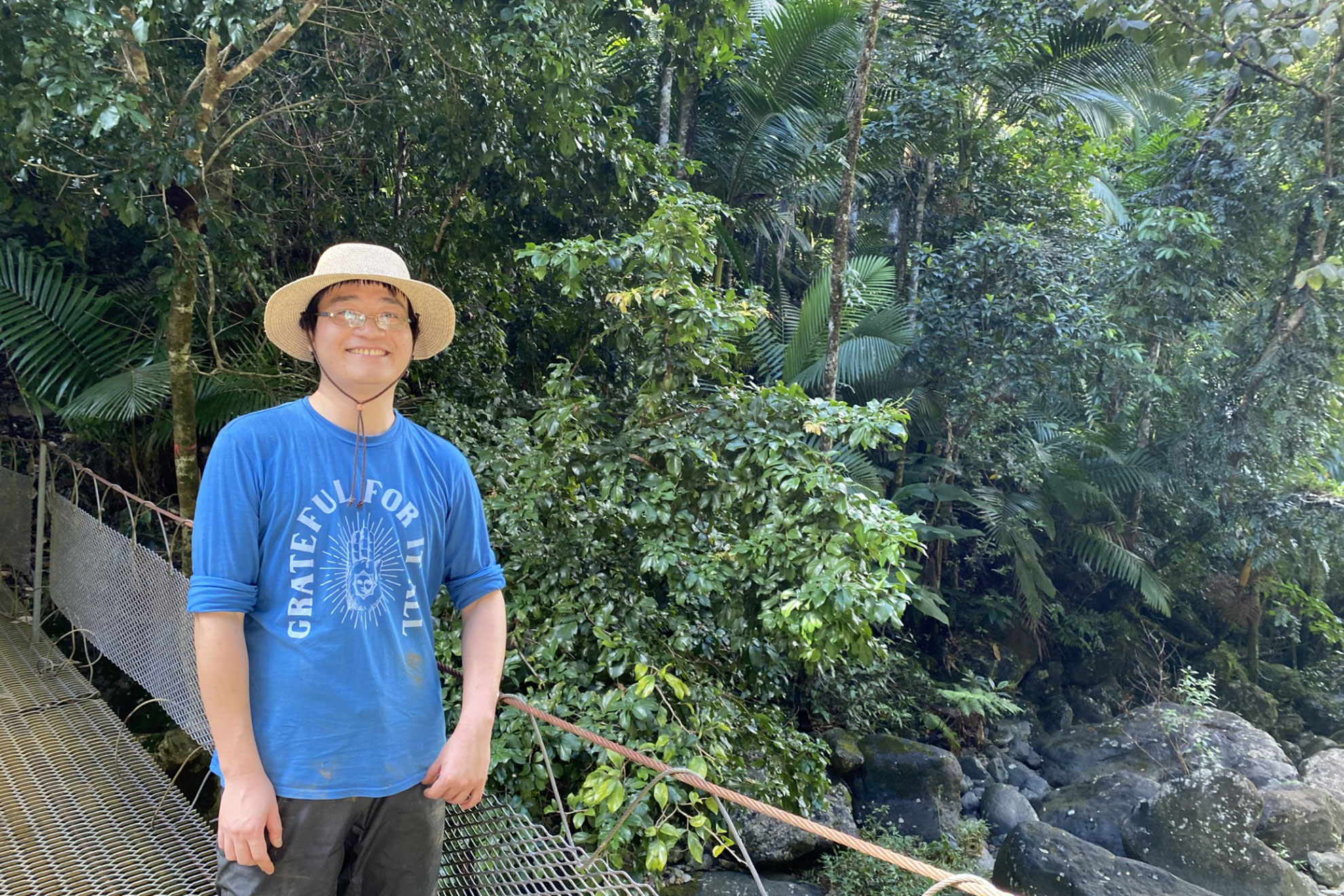 Harvard study shows parrots can pass classic test of intelligence ...