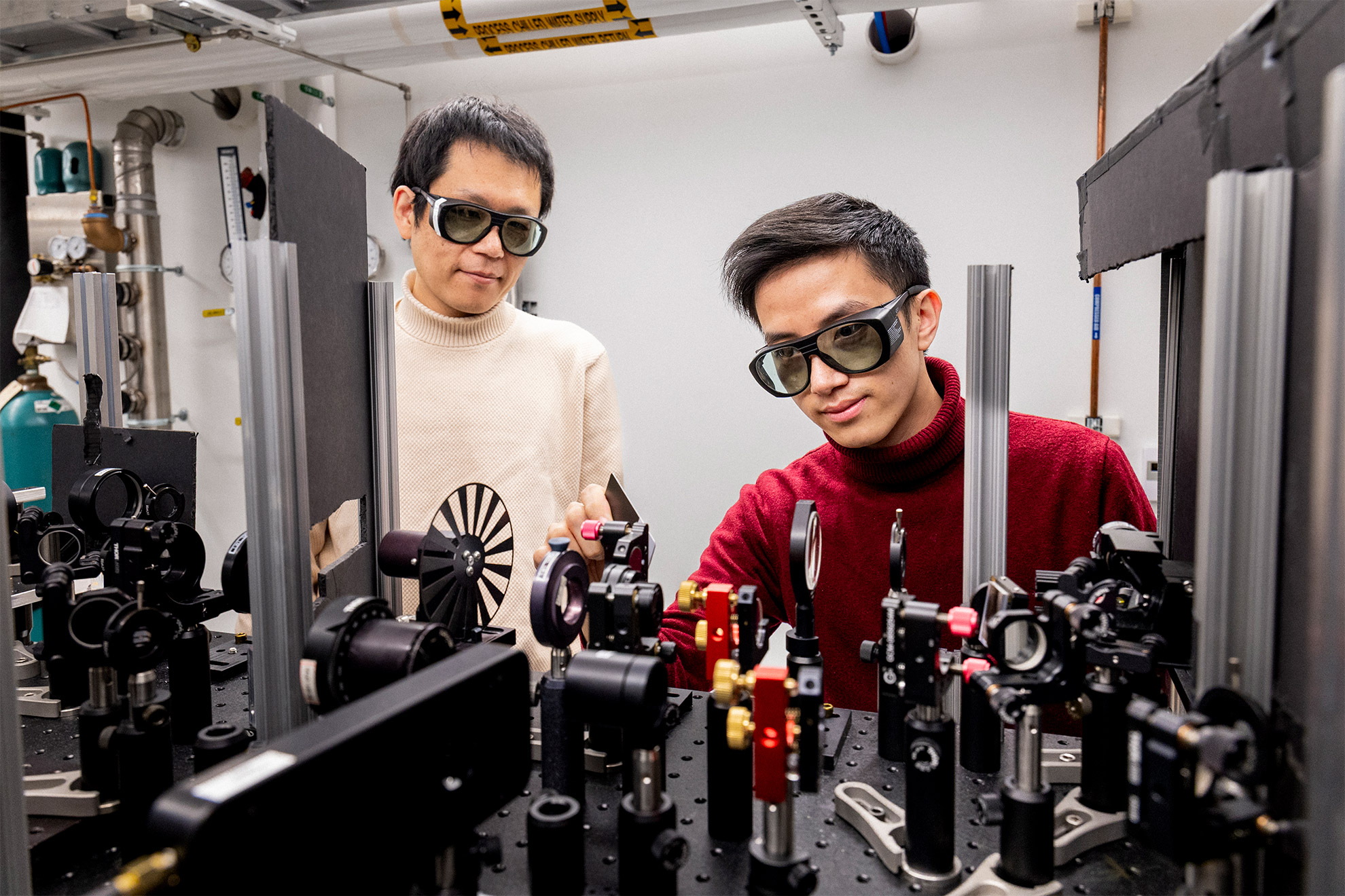 Harvard researcher finds canine brains vary based on breed — Harvard ...