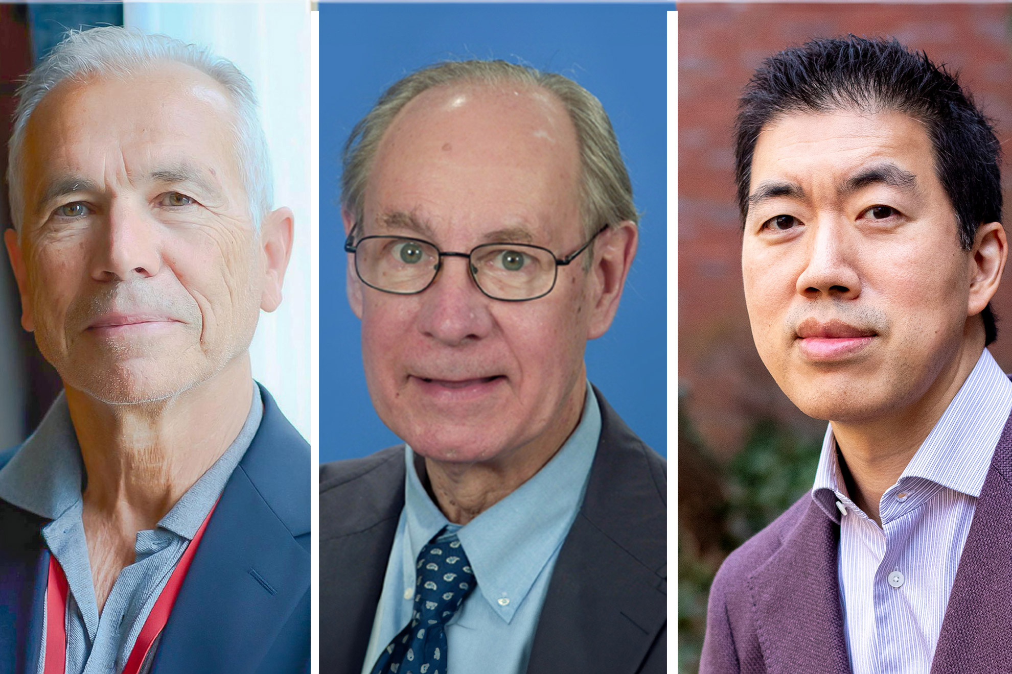 Harvard researcher turns to chess for insights on brain health ...