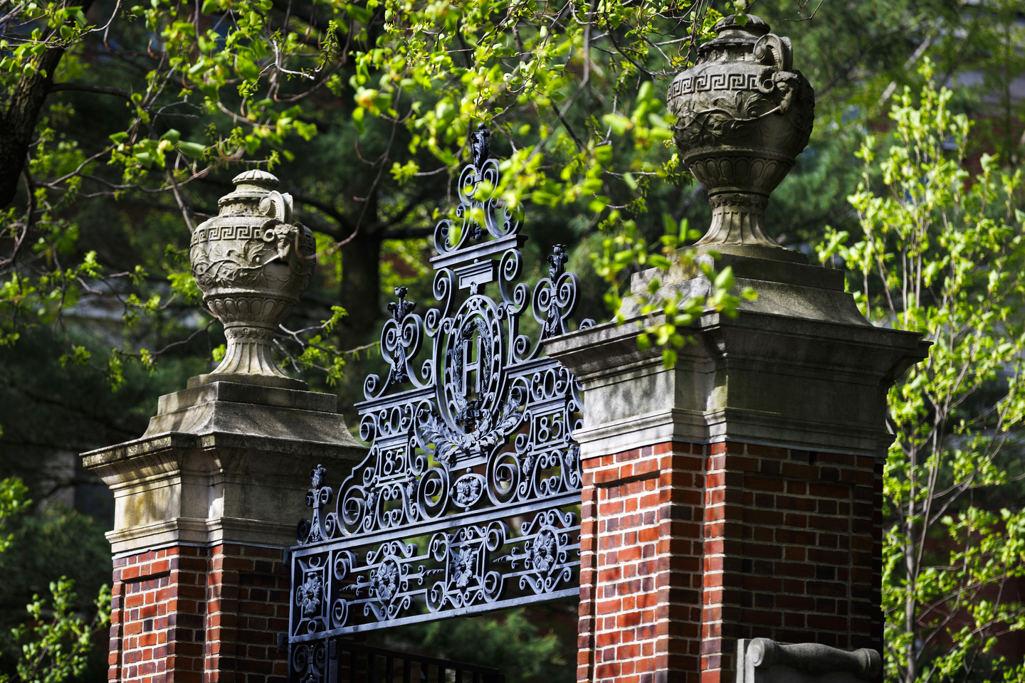 Thomas T. Hoopes Prize awarded to 71 students — Harvard Gazette