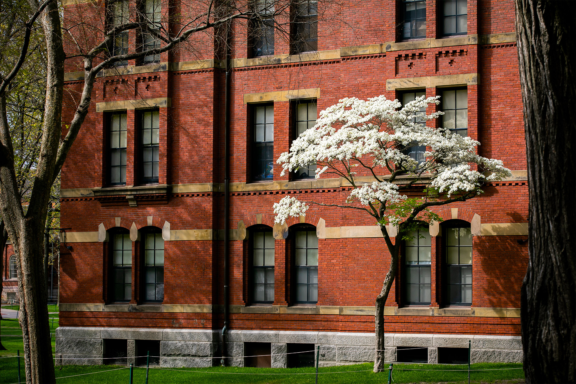 Professor Theodore Levitt, legendary marketing scholar and former ...