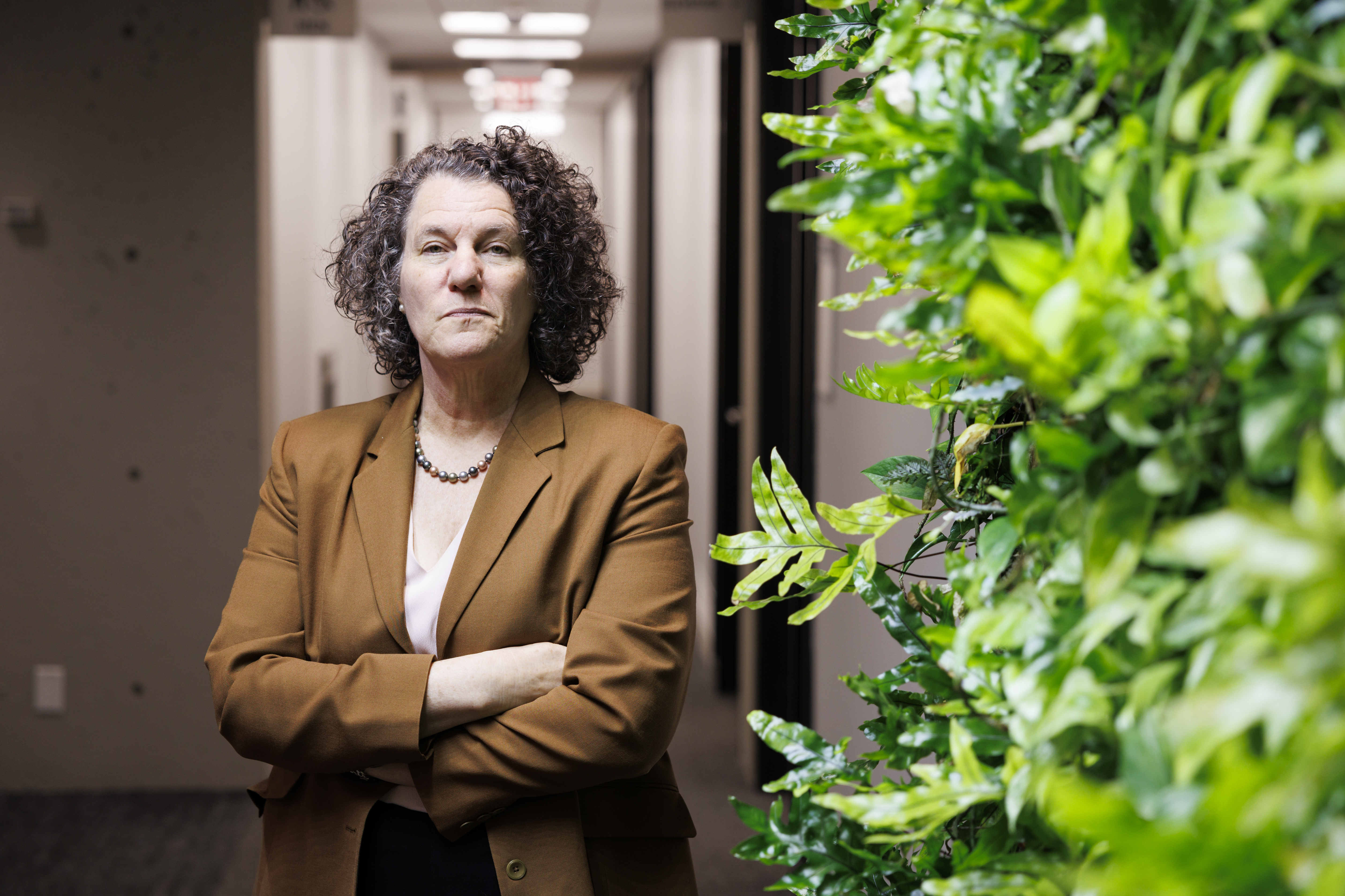 A tech warning: AI is coming fast and it’s going to be rough ride — Harvard Gazette