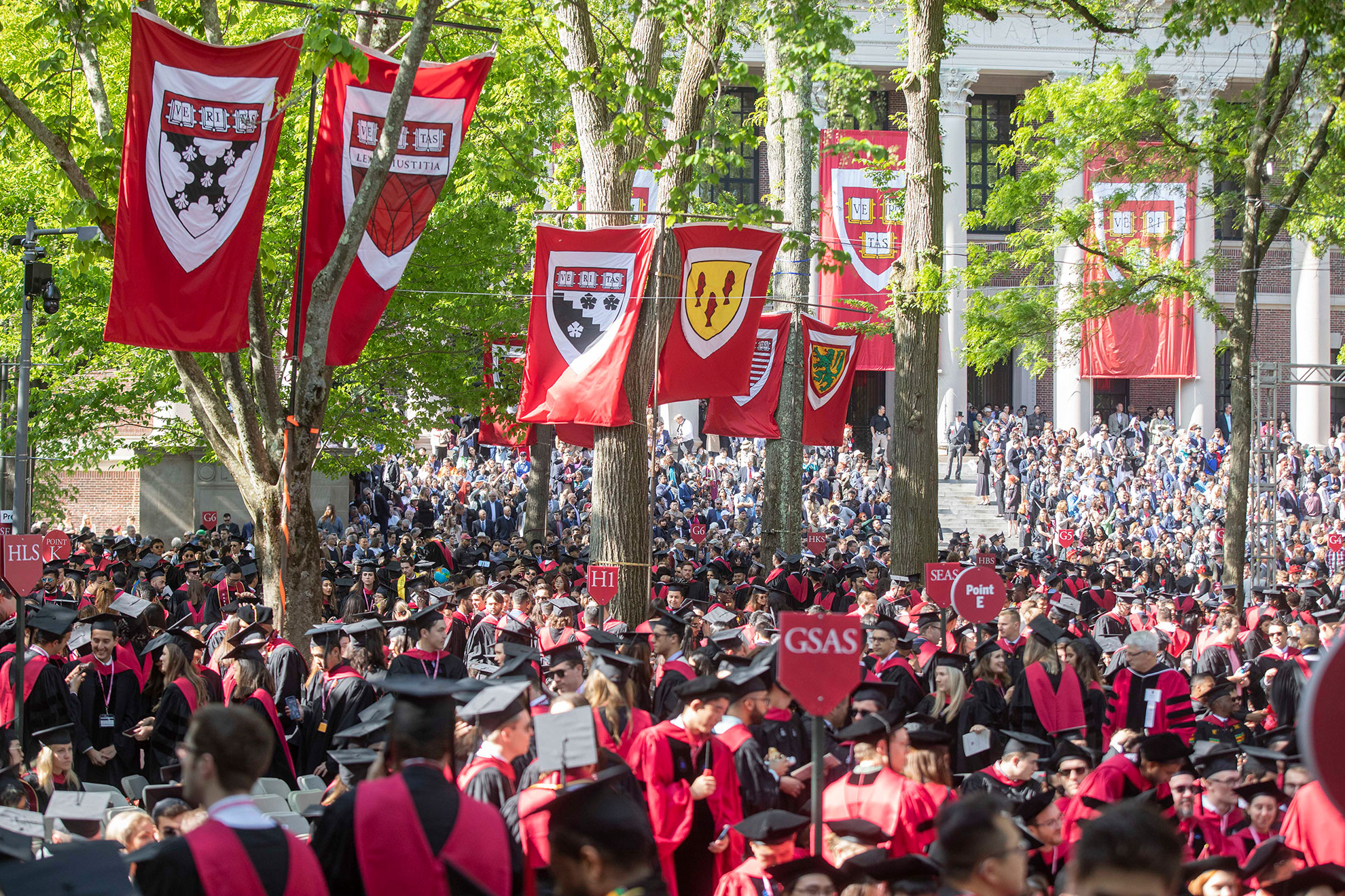 Preseason media poll votes Harvard Ivy favorite — Harvard Gazette