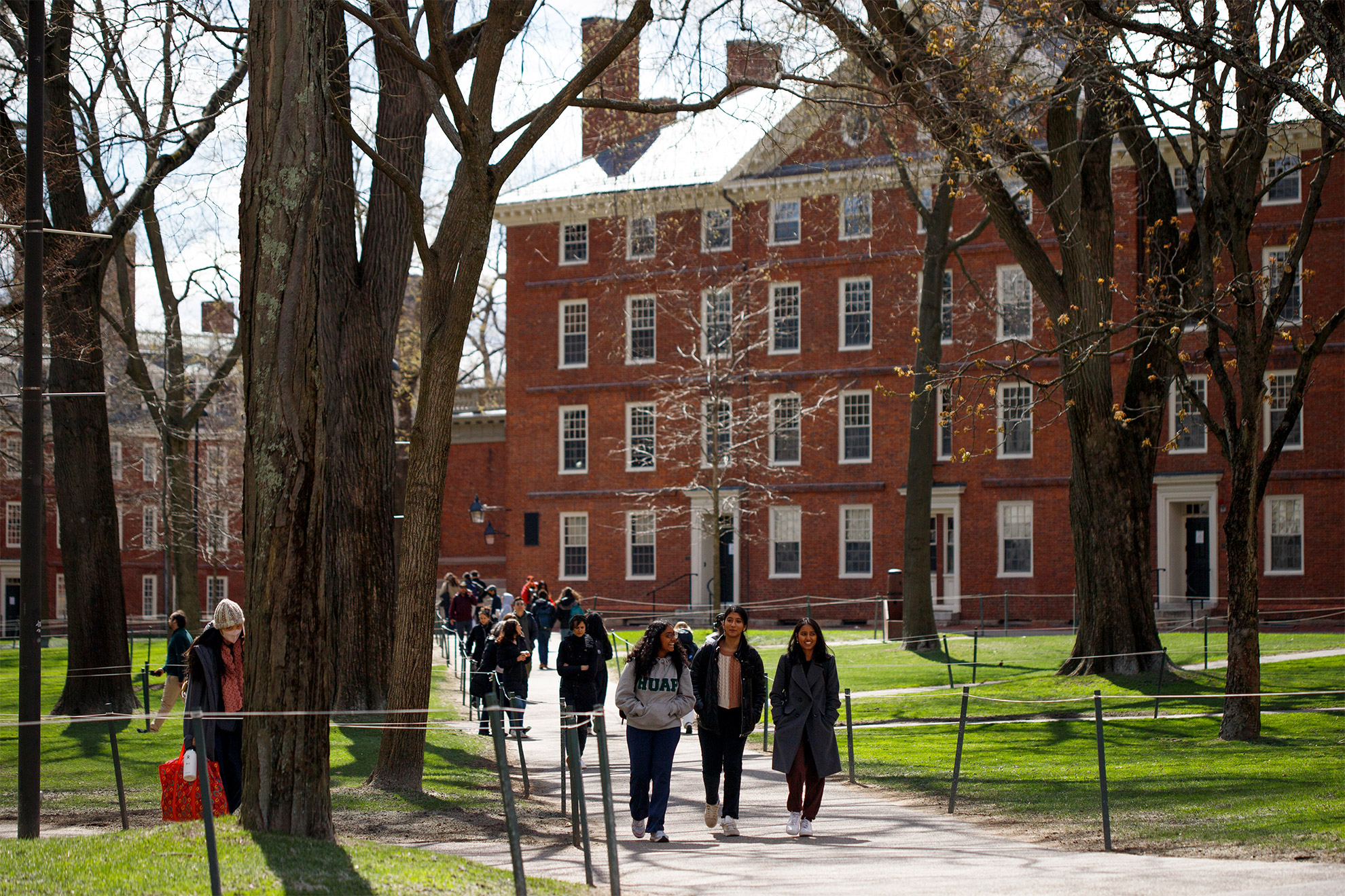 Annette Gordon-Reed named Harvard University Professor — Harvard Gazette