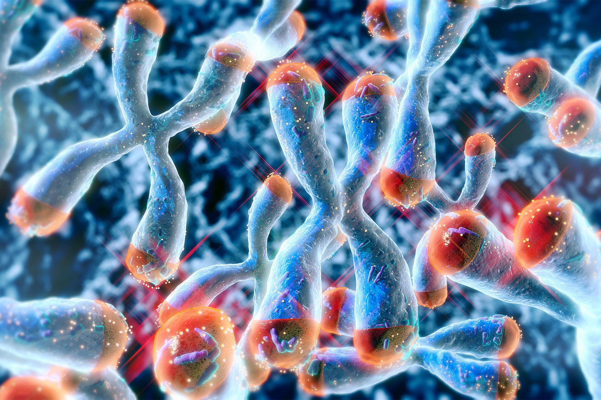 How death shapes life, according to a Harvard philosopher — Harvard Gazette