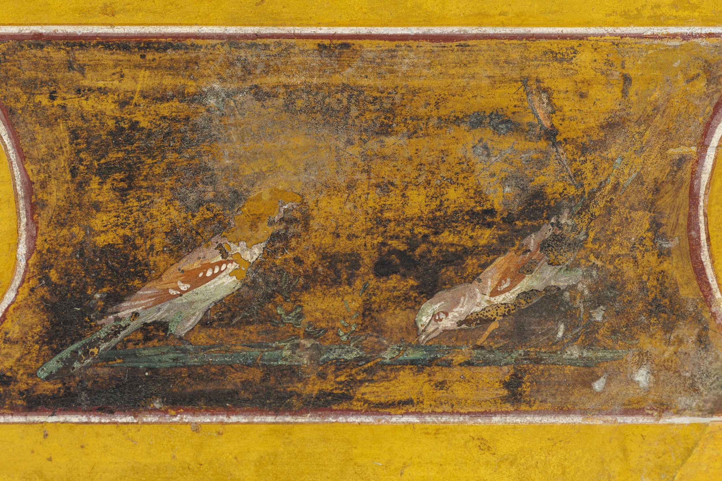 Viewing art like an expert — Harvard Gazette