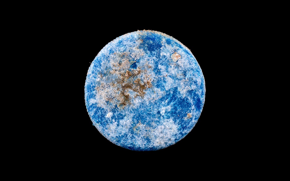 The writing life of Harvard historian Jill Lepore — Harvard Gazette