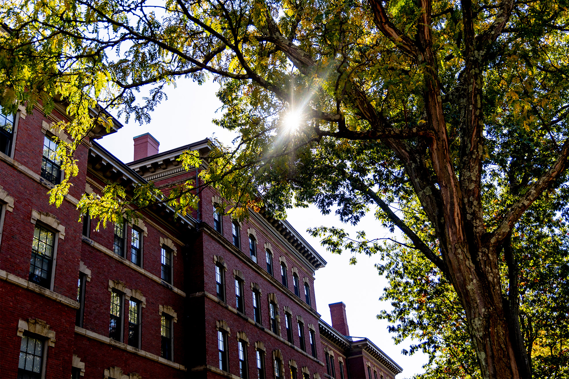 Laurence Tribe speaks on his career in constitutional law — Harvard Gazette