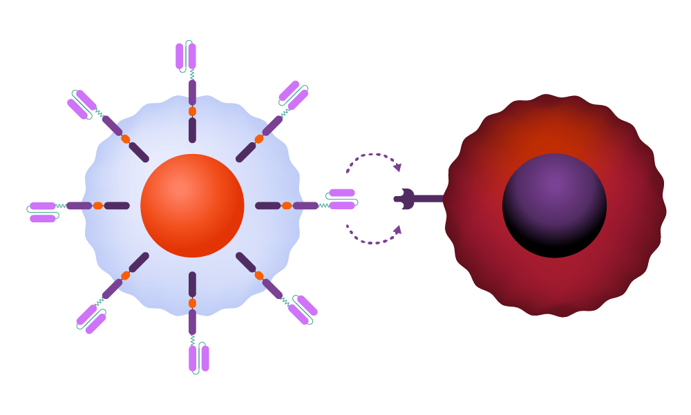 Unlocking the promise of CAR-T — Harvard Gazette