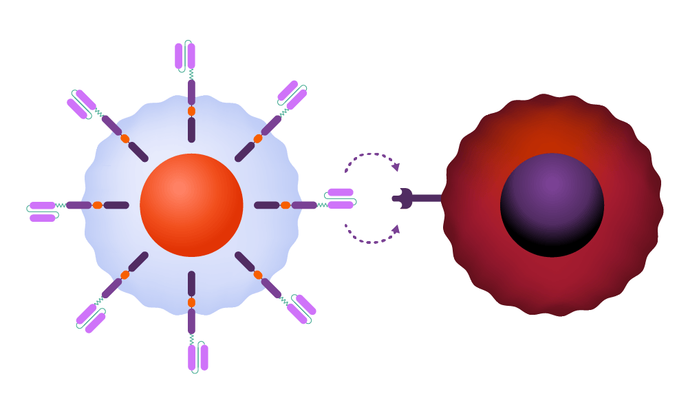 Unlocking the promise of CAR-T — Harvard Gazette