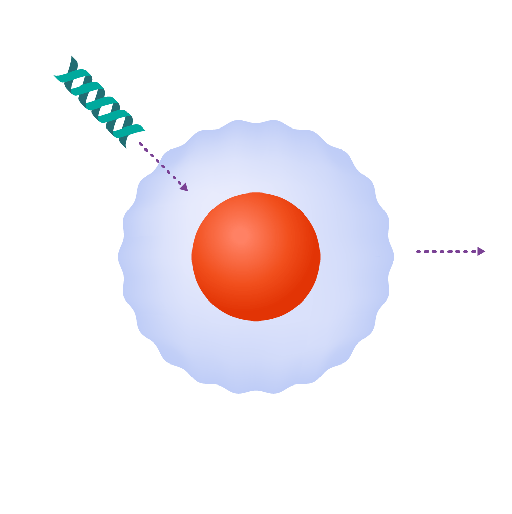 Unlocking the promise of CAR-T — Harvard Gazette