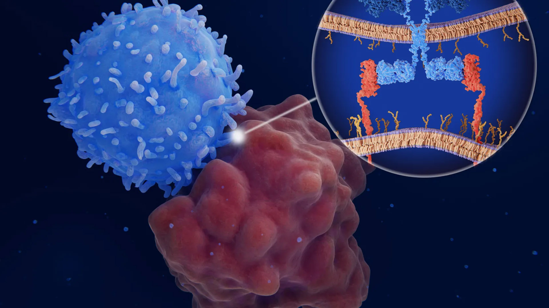 Unlocking the promise of CAR-T — Harvard Gazette