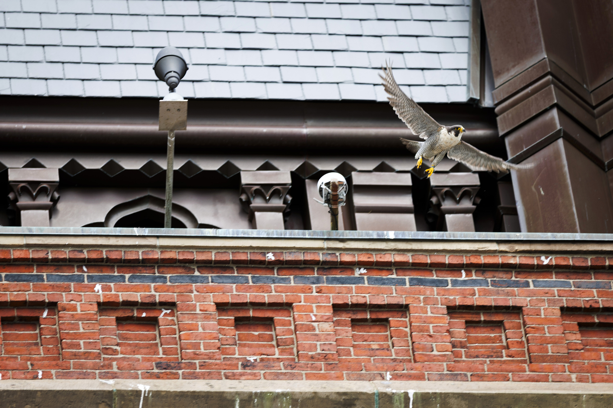 Harvard amends lawsuit to push back against new funding cuts — Harvard ...