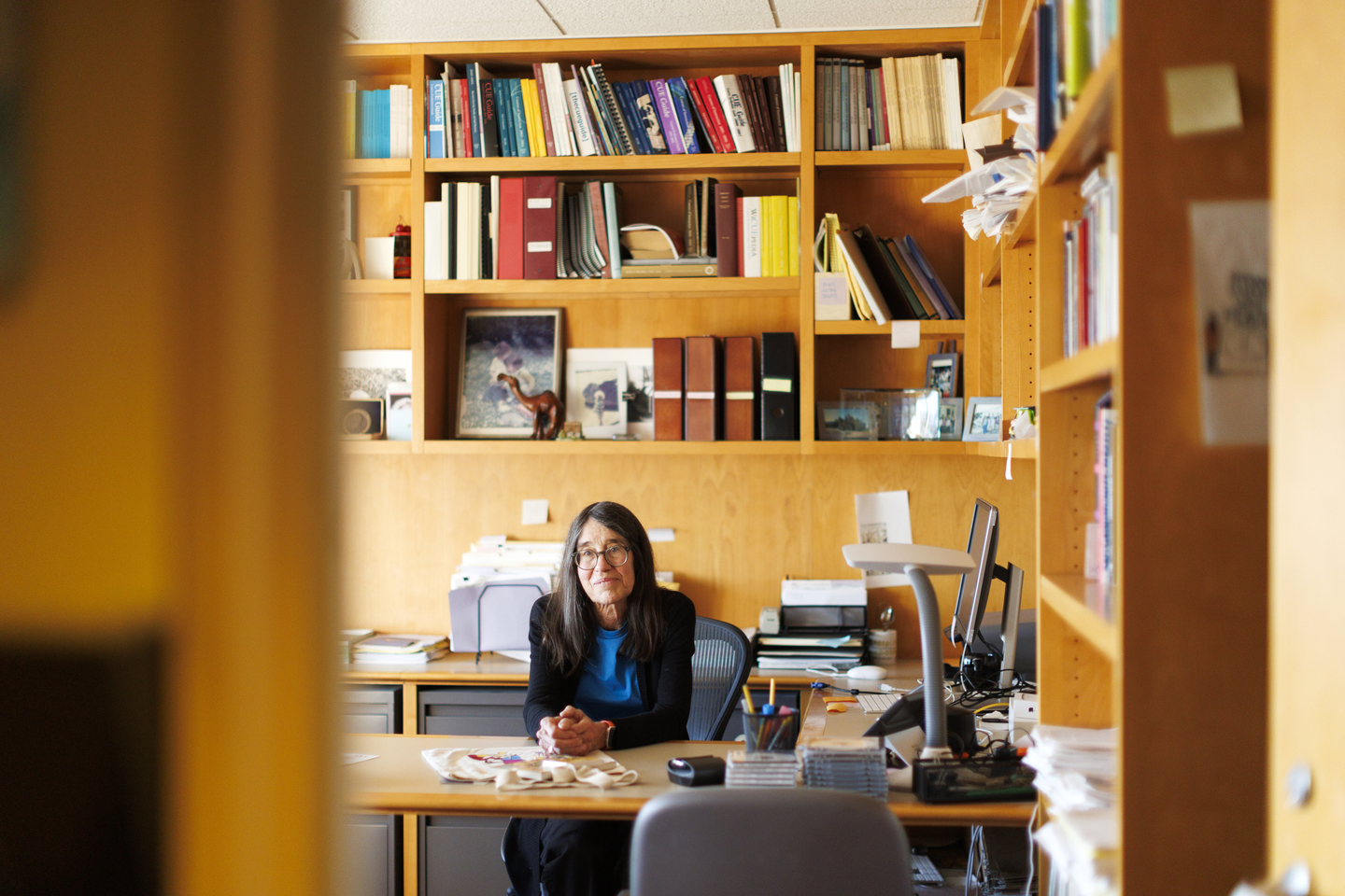 Harvard study shows parrots can pass classic test of intelligence ...