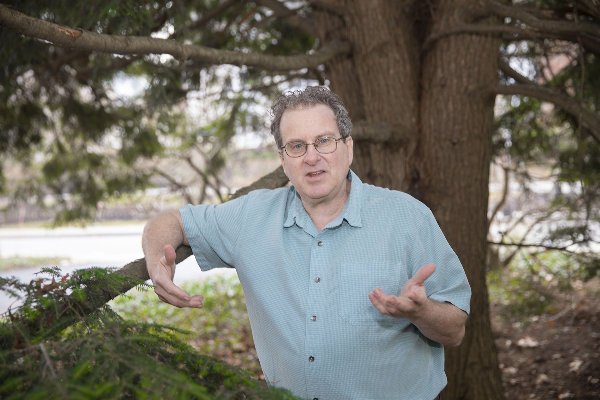 Taking the measure of legal pot — Harvard Gazette