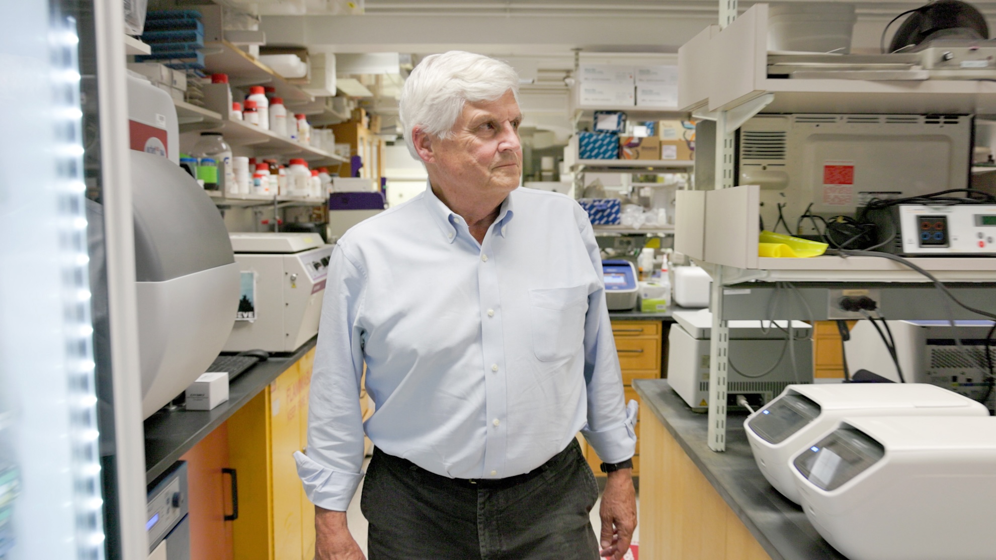 Profiles of Progress Archives — Harvard Gazette