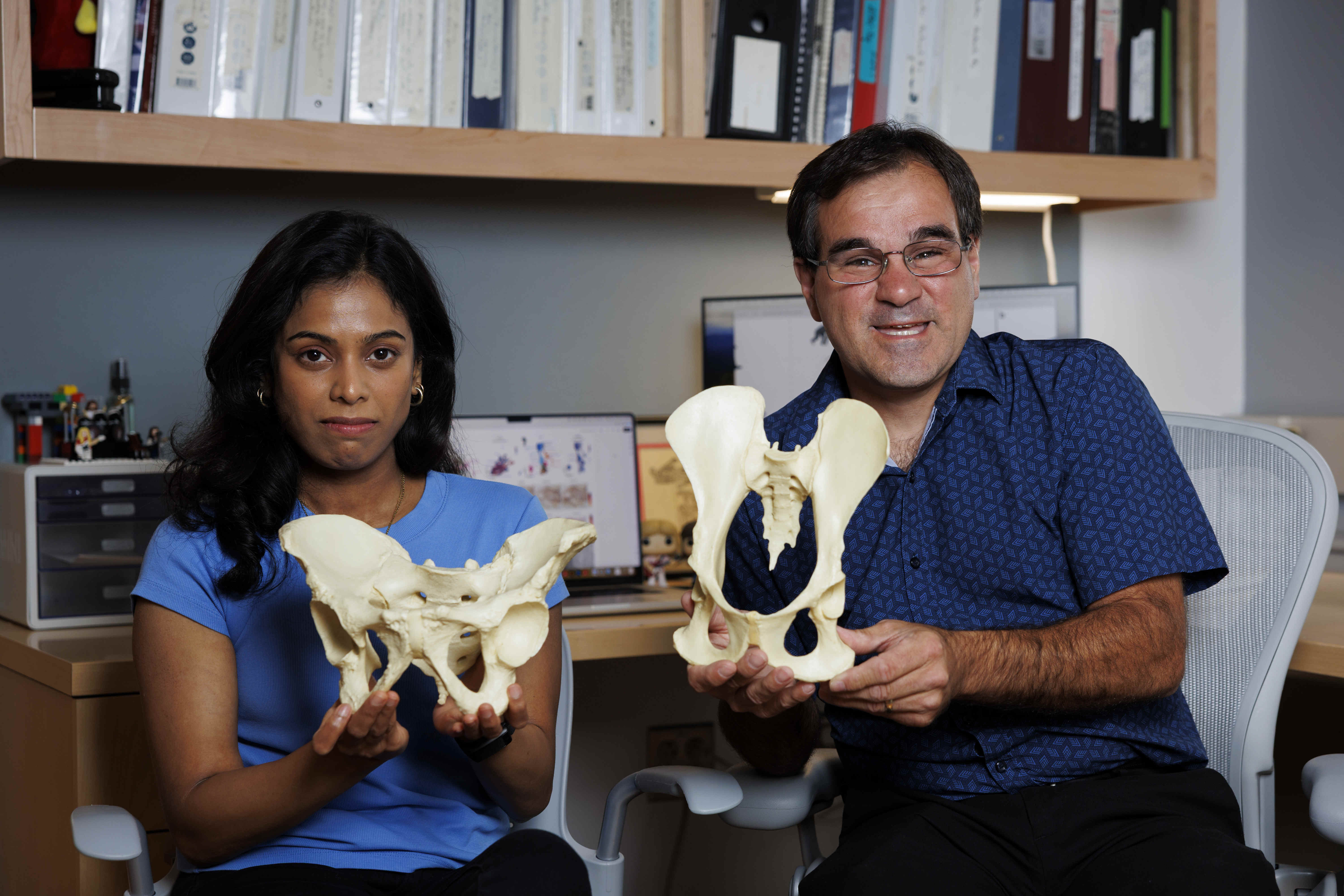 Solving evolutionary mystery of how humans came to walk upright ...