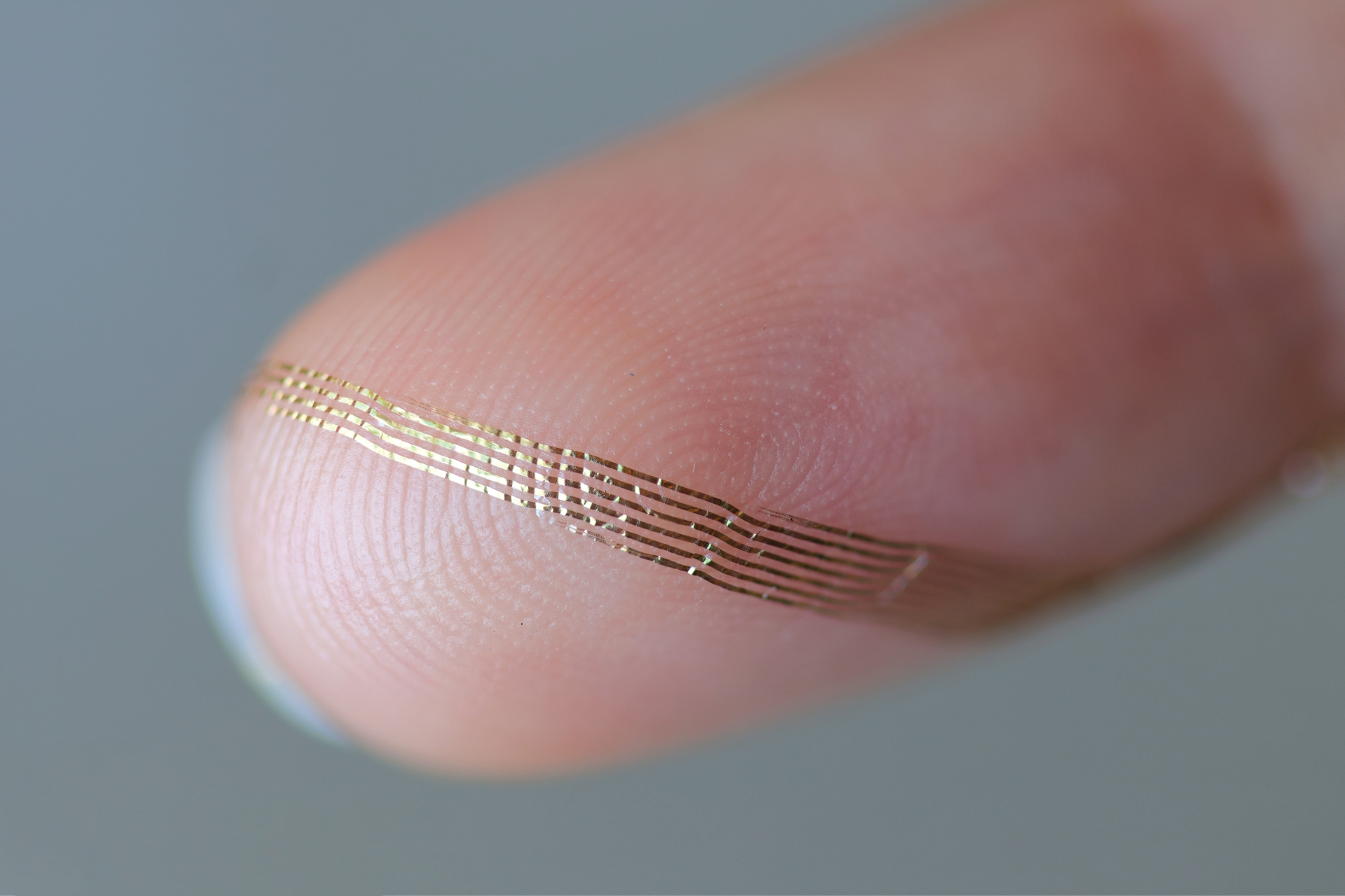 Brain implants that don’t leave scars — Harvard Gazette