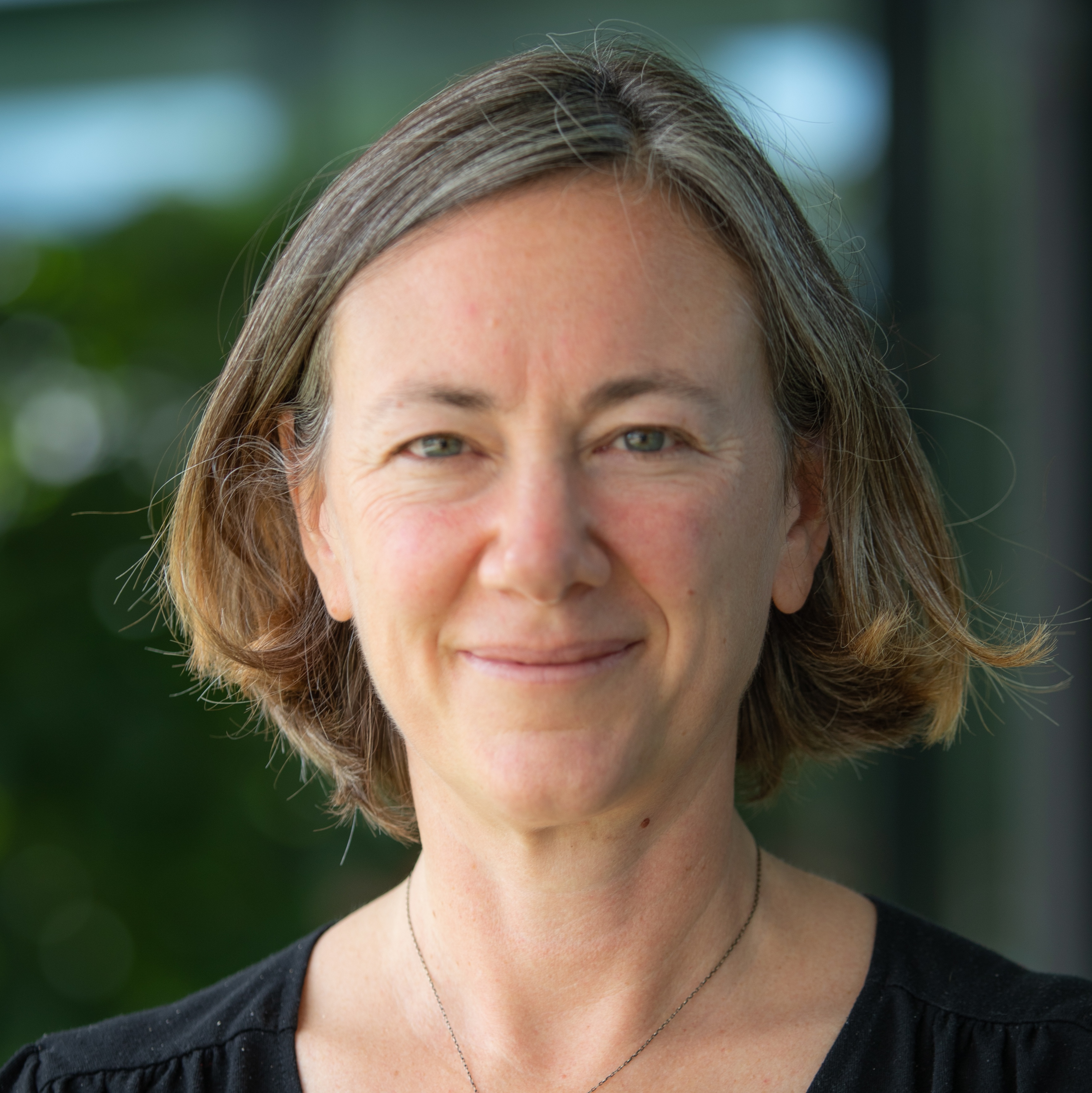 Becca Nesson named executive director of the Derek Bok Center — Harvard ...
