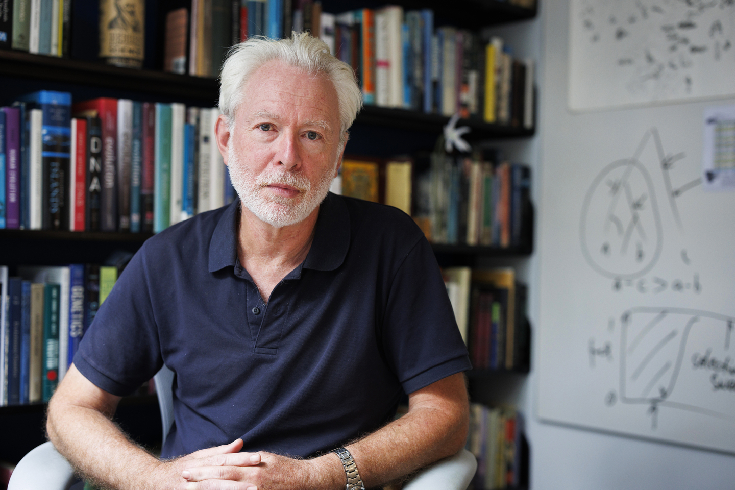 A real butterfly effect — Harvard Gazette