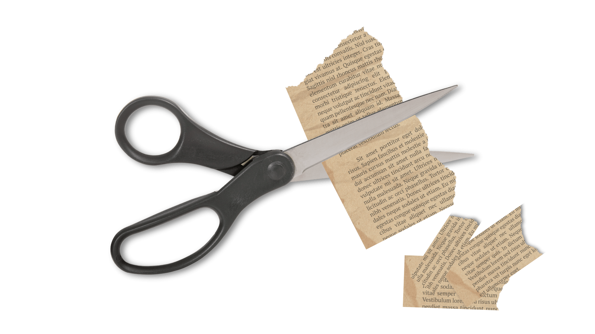 Is there a right way to write? — Harvard Gazette