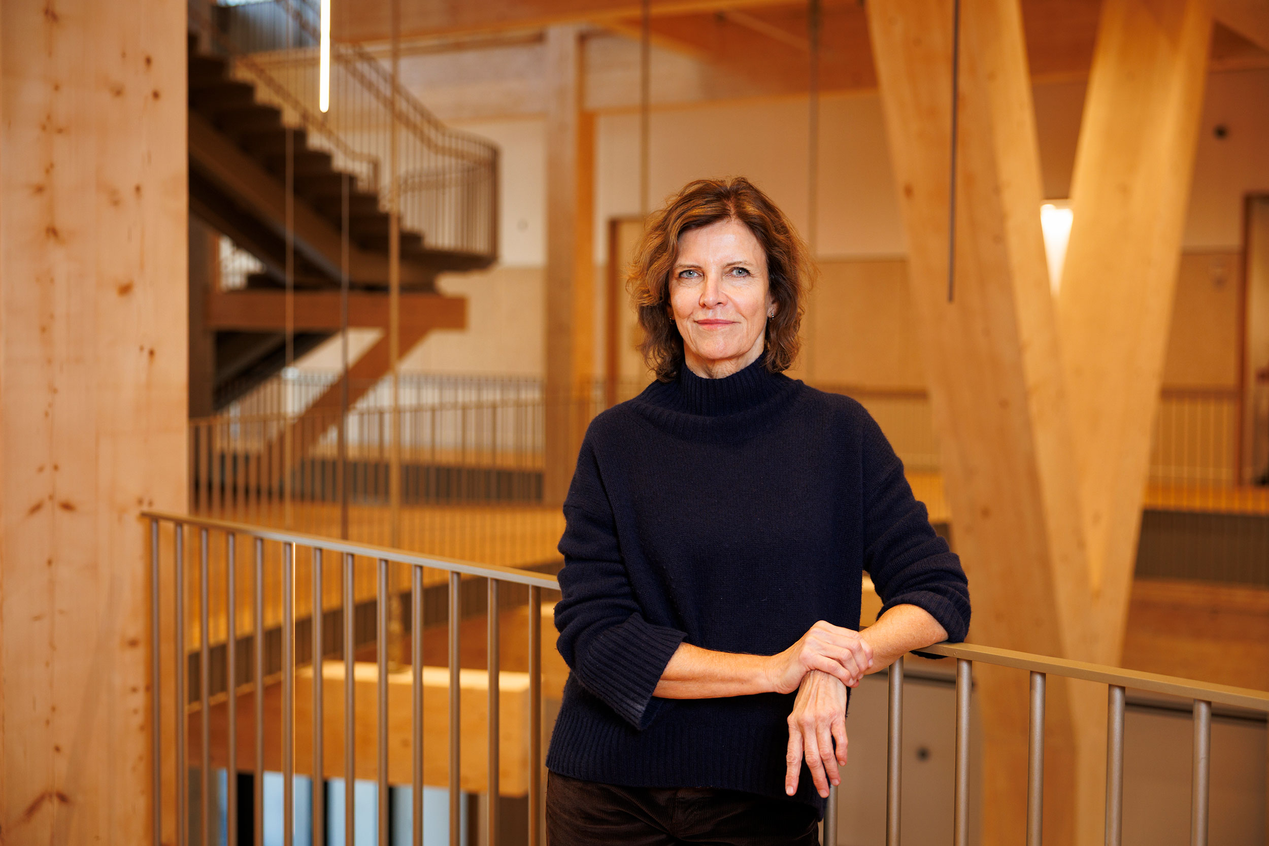 ‘Designed to be different’: Harvard unveils Rubenstein Treehouse ...